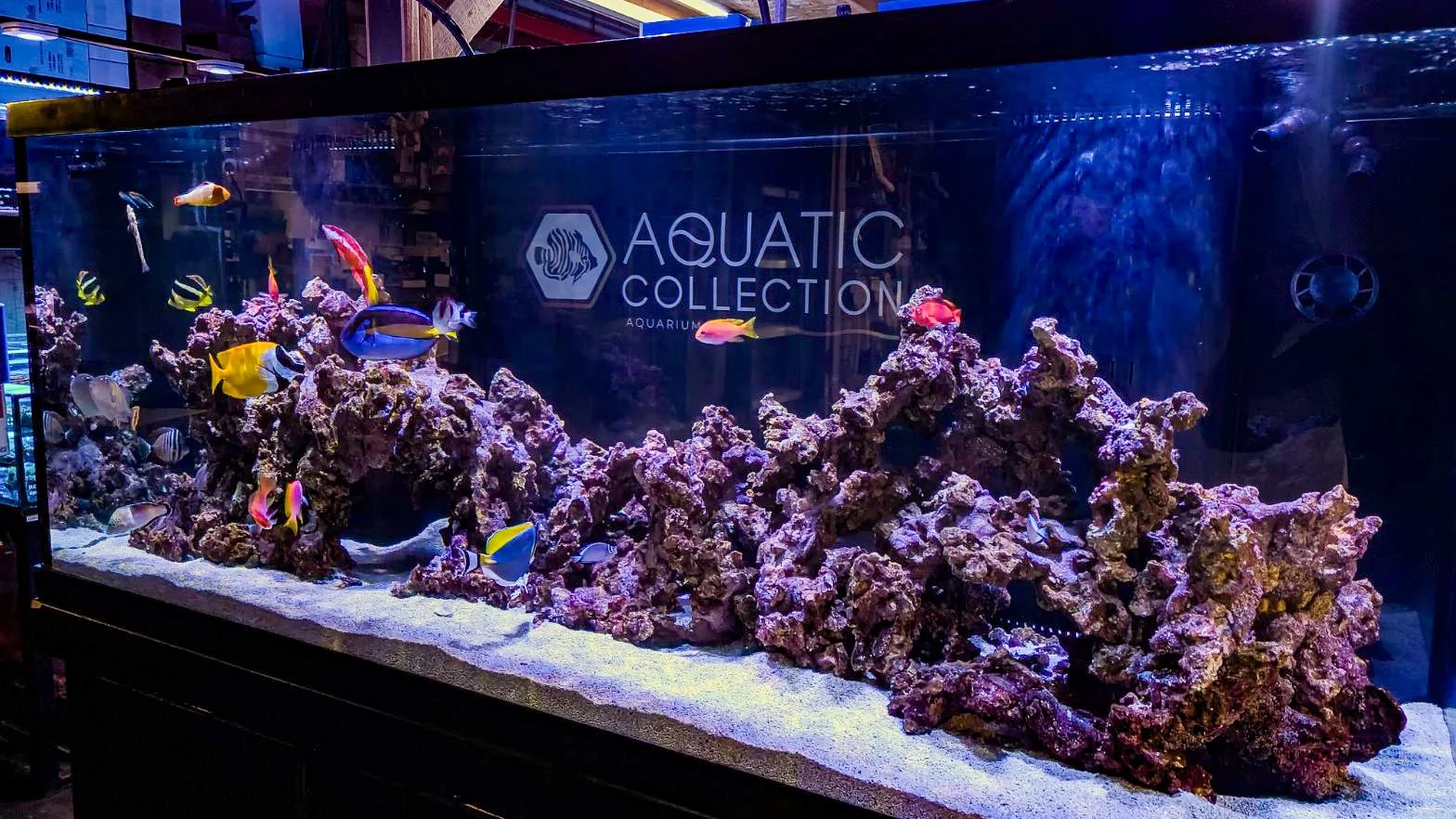 Aquatic Collection