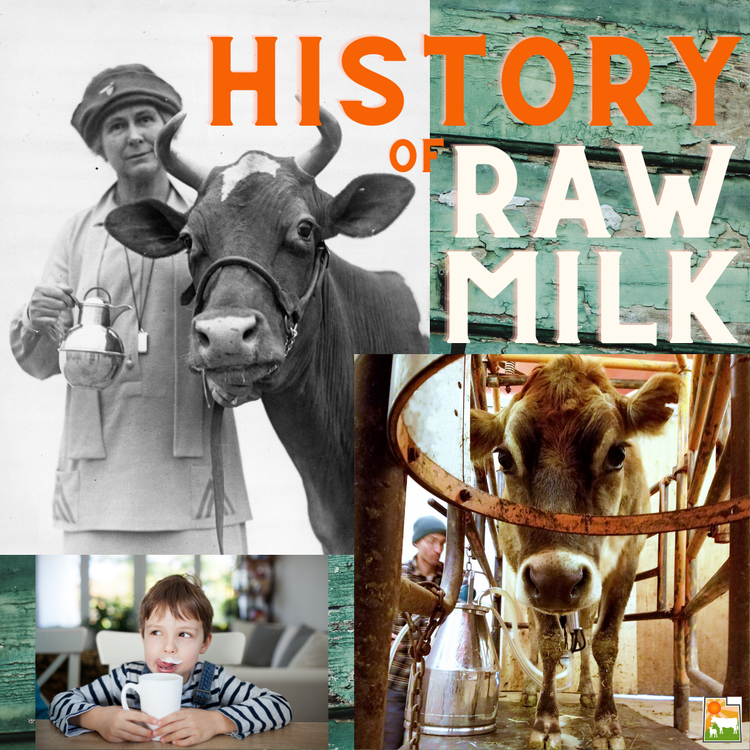 Brief History of Raw Milk and Pasteurization — Nourish with Kristin