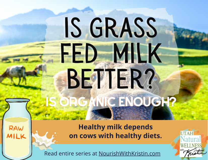 Why Grass fed milk is better — Nourish with Kristin