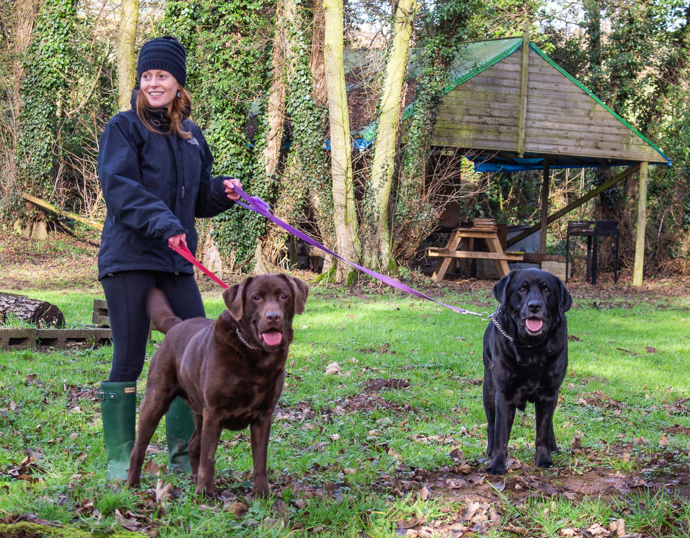Gallery — Deansford Kennels