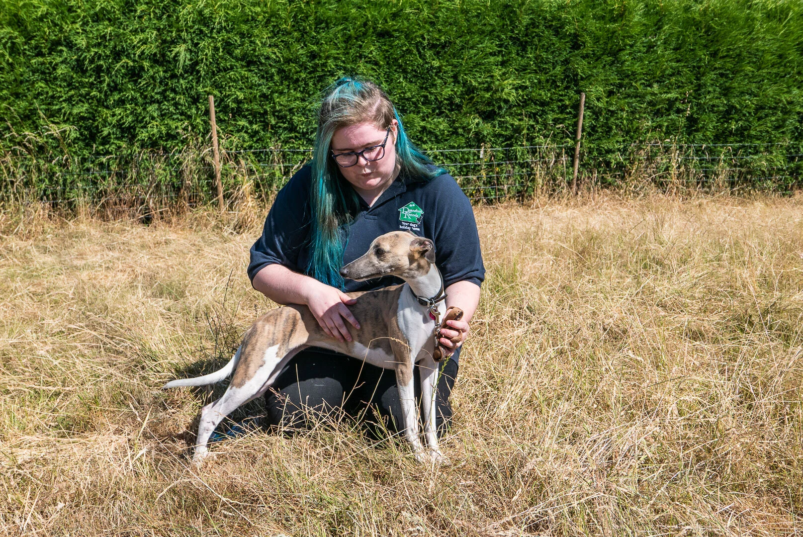 Gallery — Deansford Kennels