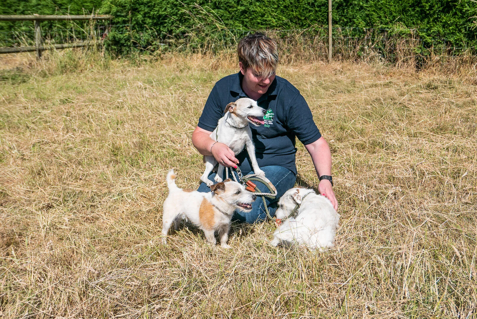 Gallery — Deansford Kennels