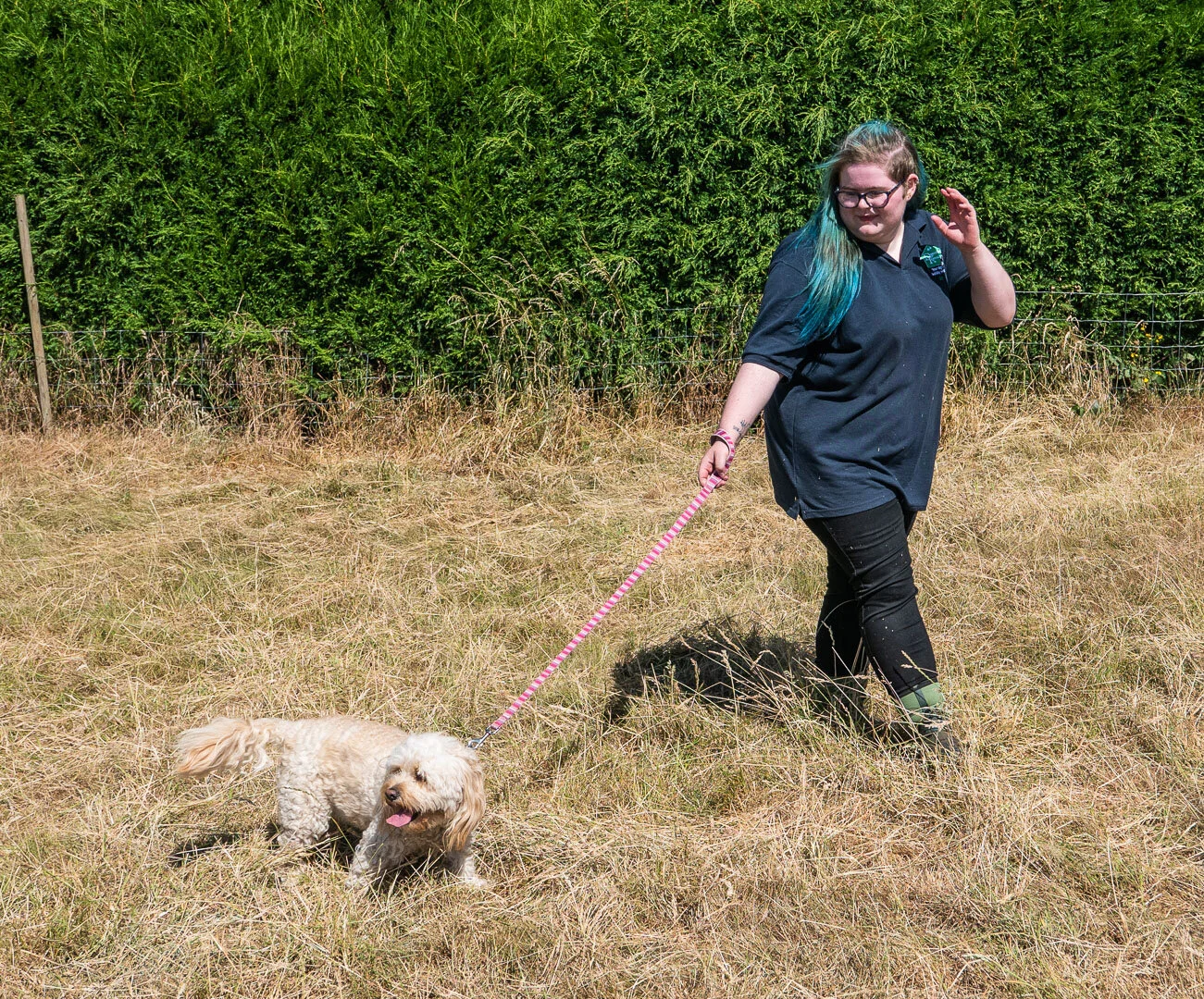 Gallery — Deansford Kennels