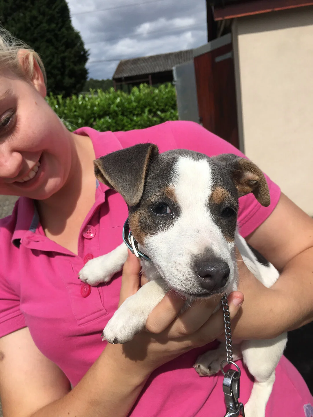 Gallery — Deansford Kennels