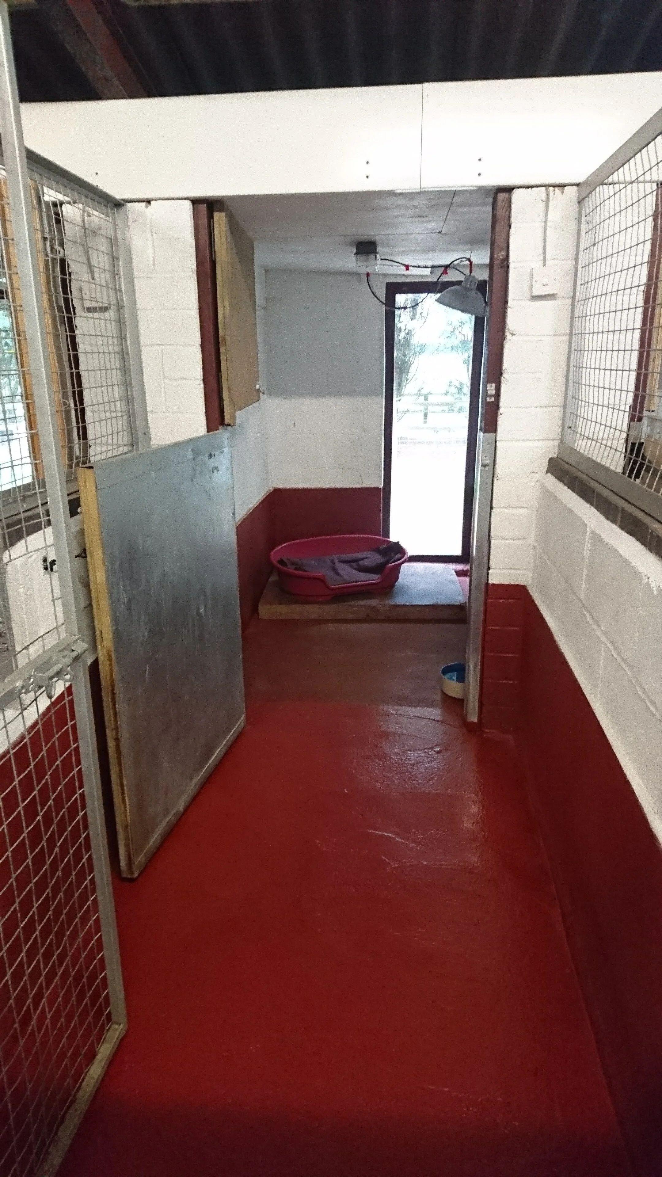 Gallery — Deansford Kennels