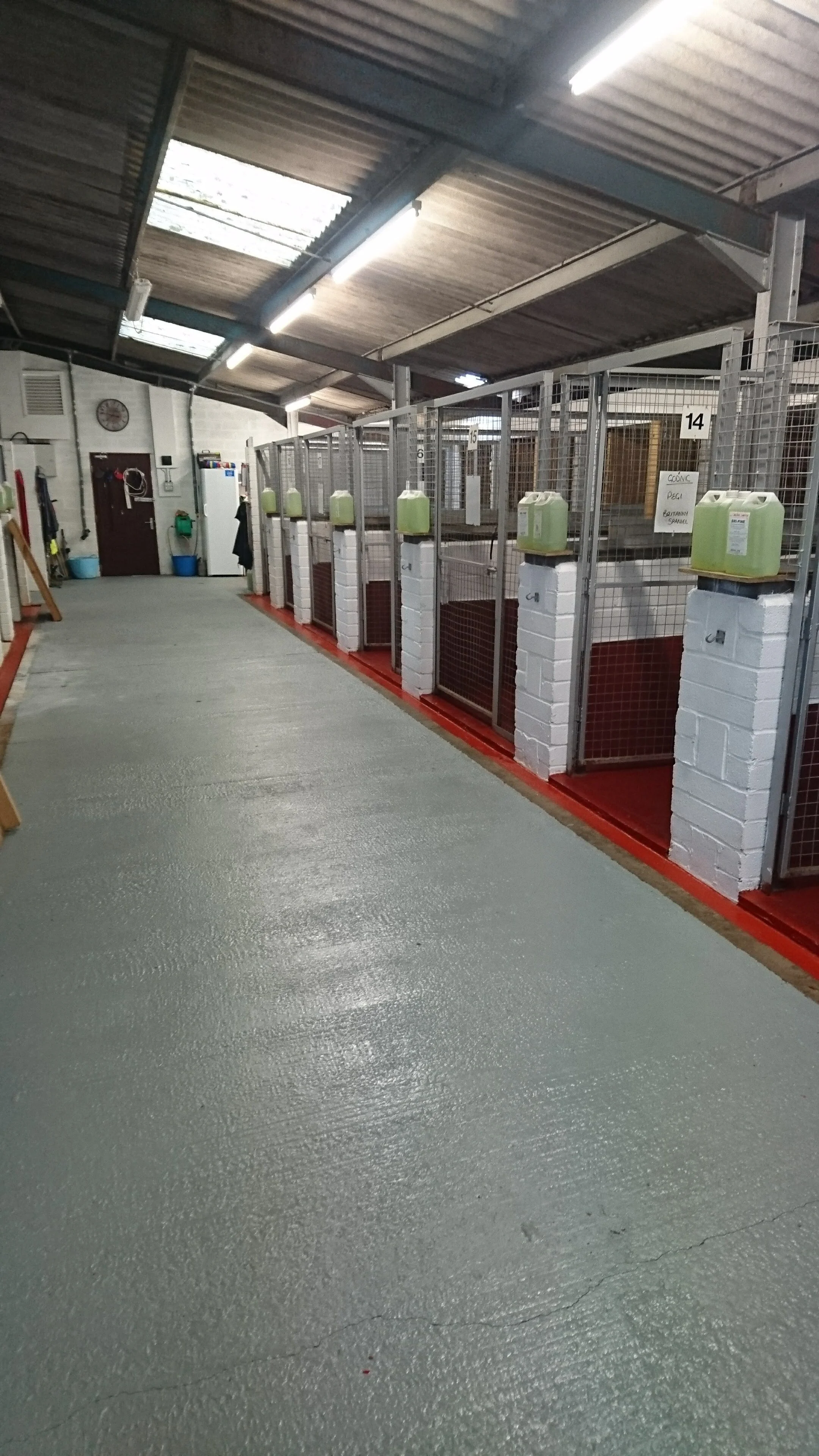 Gallery — Deansford Kennels