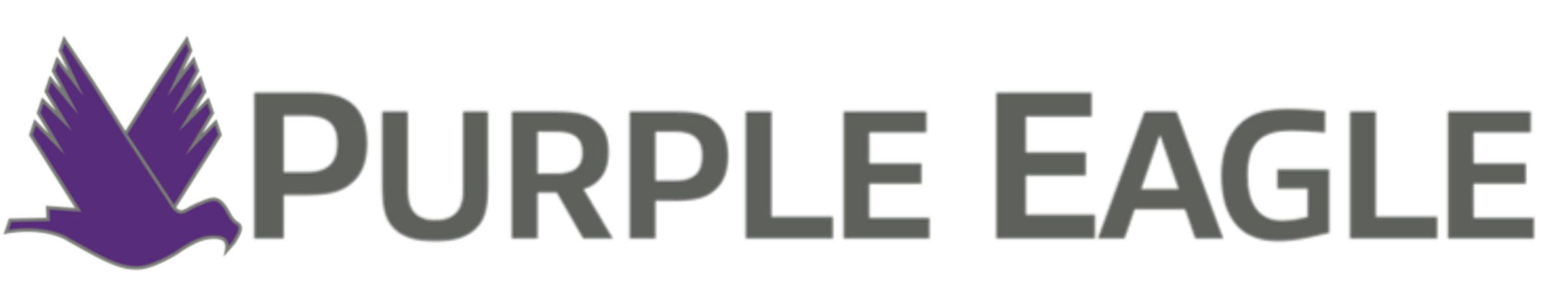 Purple Eagle Ventures