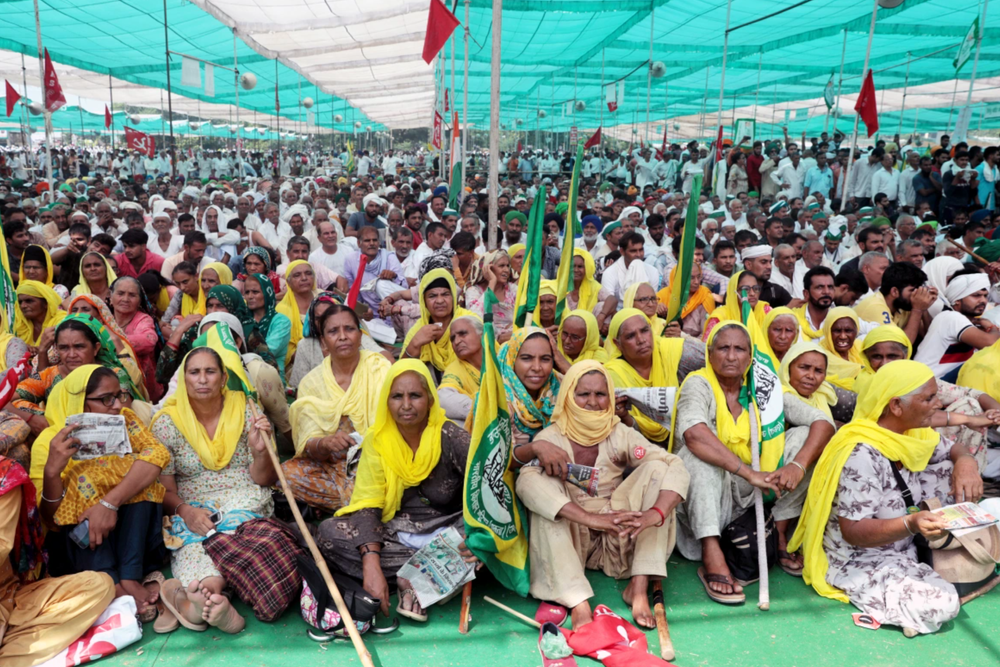 The Tale of an Immovable Tail: One Year of India's Farmer Protests ...