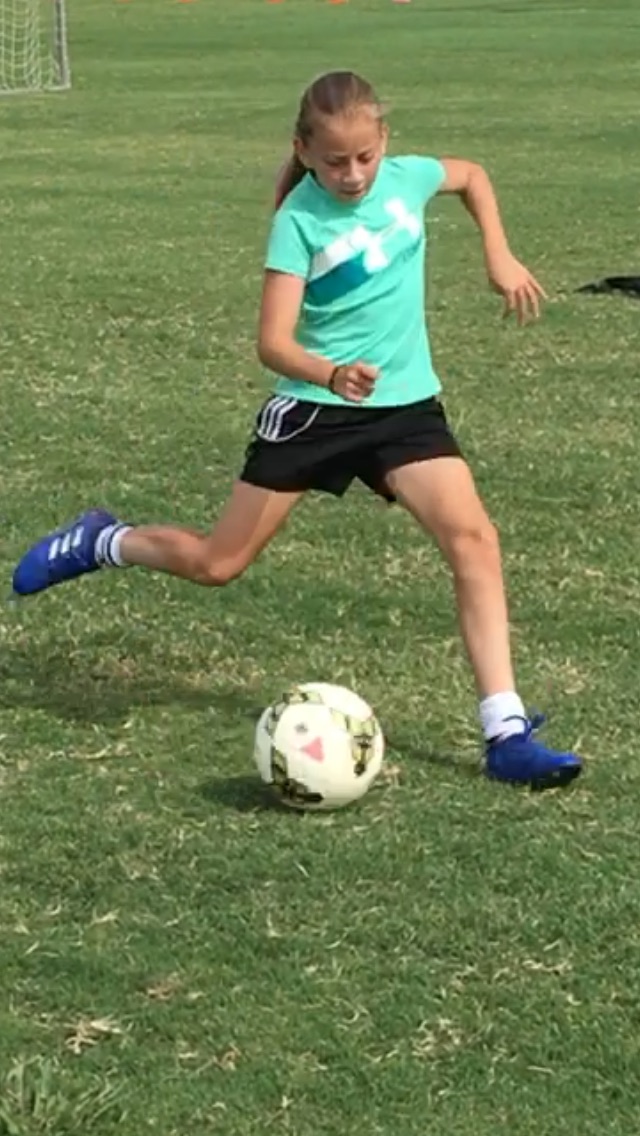 Store — Prodigy Soccer Training