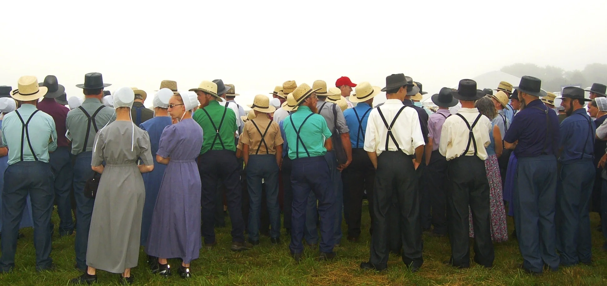 History of the Amish Culture, Amish Religion, Amish Lifestyle — Mary ...