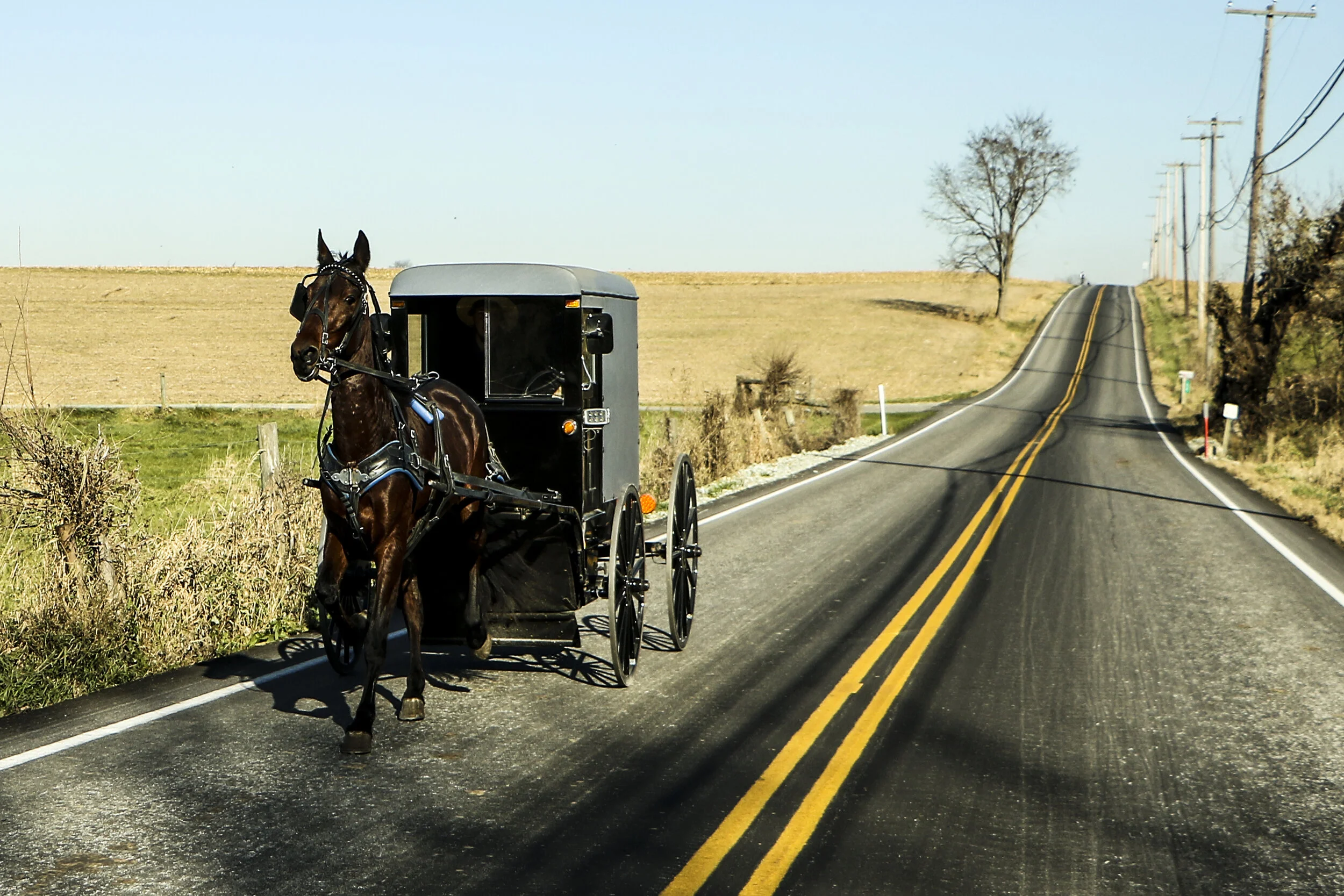 History of the Amish Culture, Amish Religion, Amish Lifestyle — Mary ...