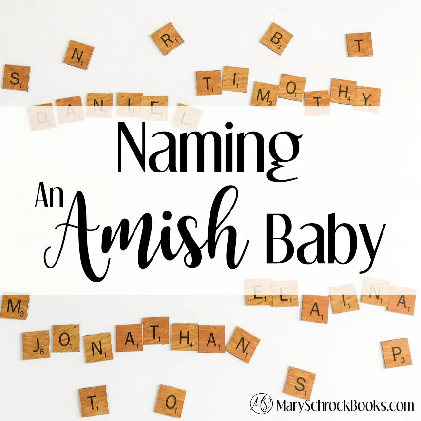 Naming an Amish Baby — Mary Schrock Books