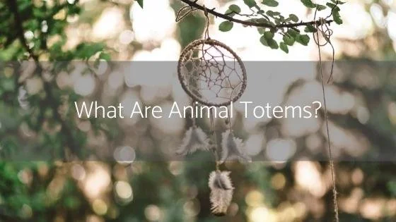 What Are Animal Totems? — Berkeley Creative Company Intuitive Art Services