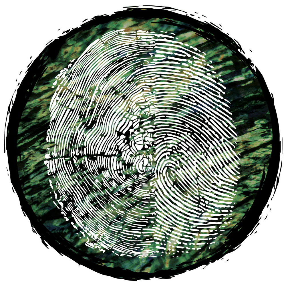 Integral Ecology — Claire Virgona