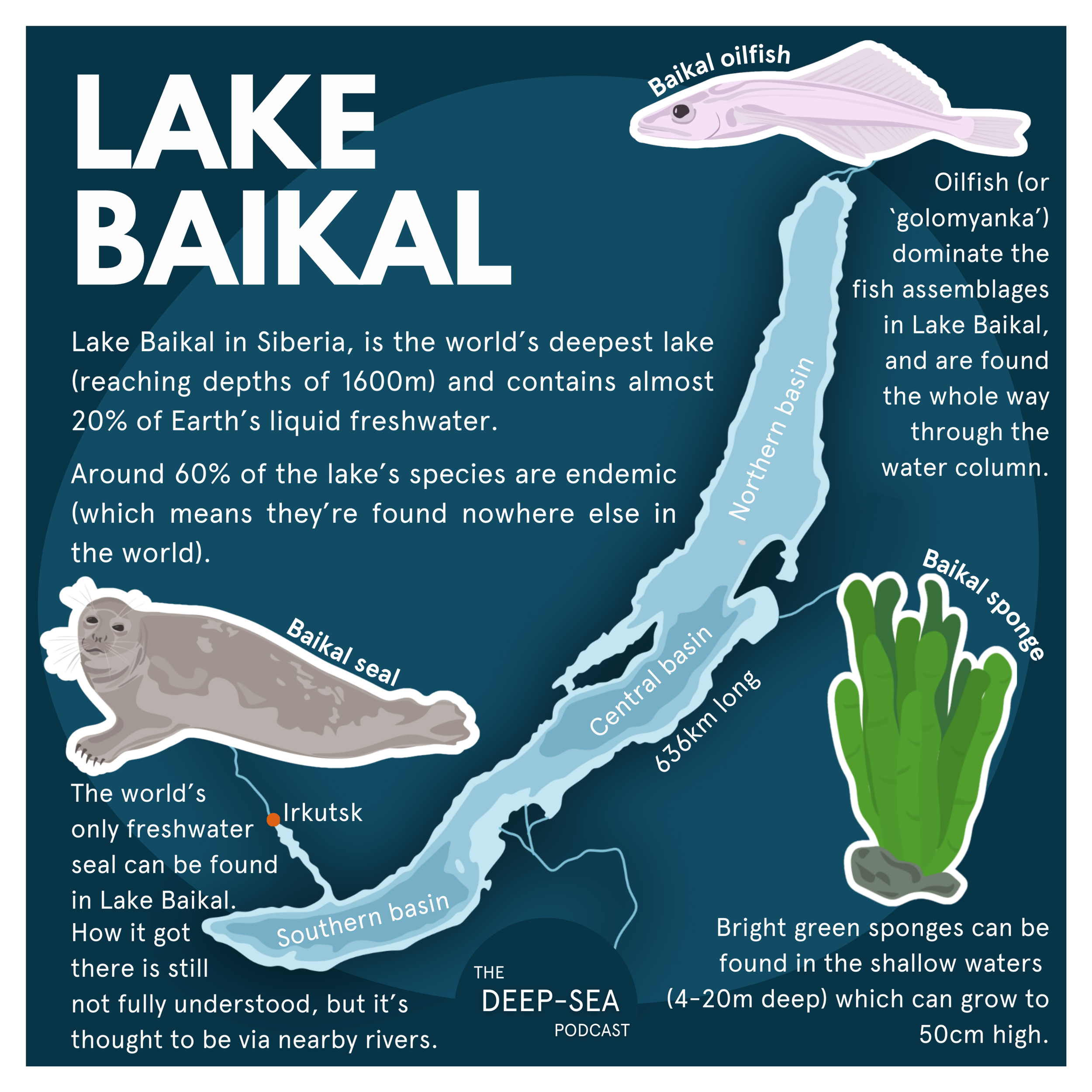 Baikal: Diving into the world's deepest lake — Armatus Oceanic