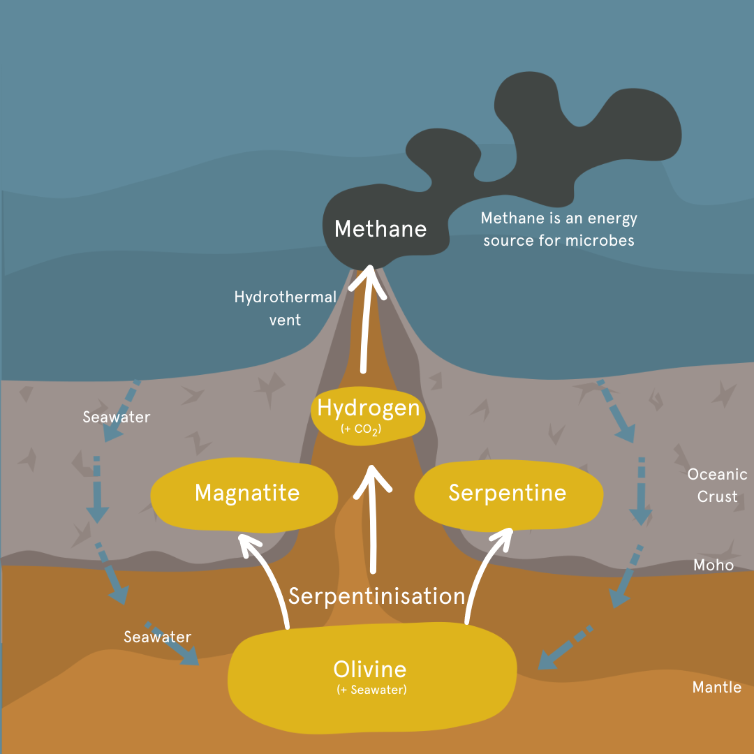 Deep digging with Andrew McCaig — Armatus Oceanic