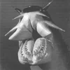 Highlighting the hagfish: misunderstood or monster from the deep ...