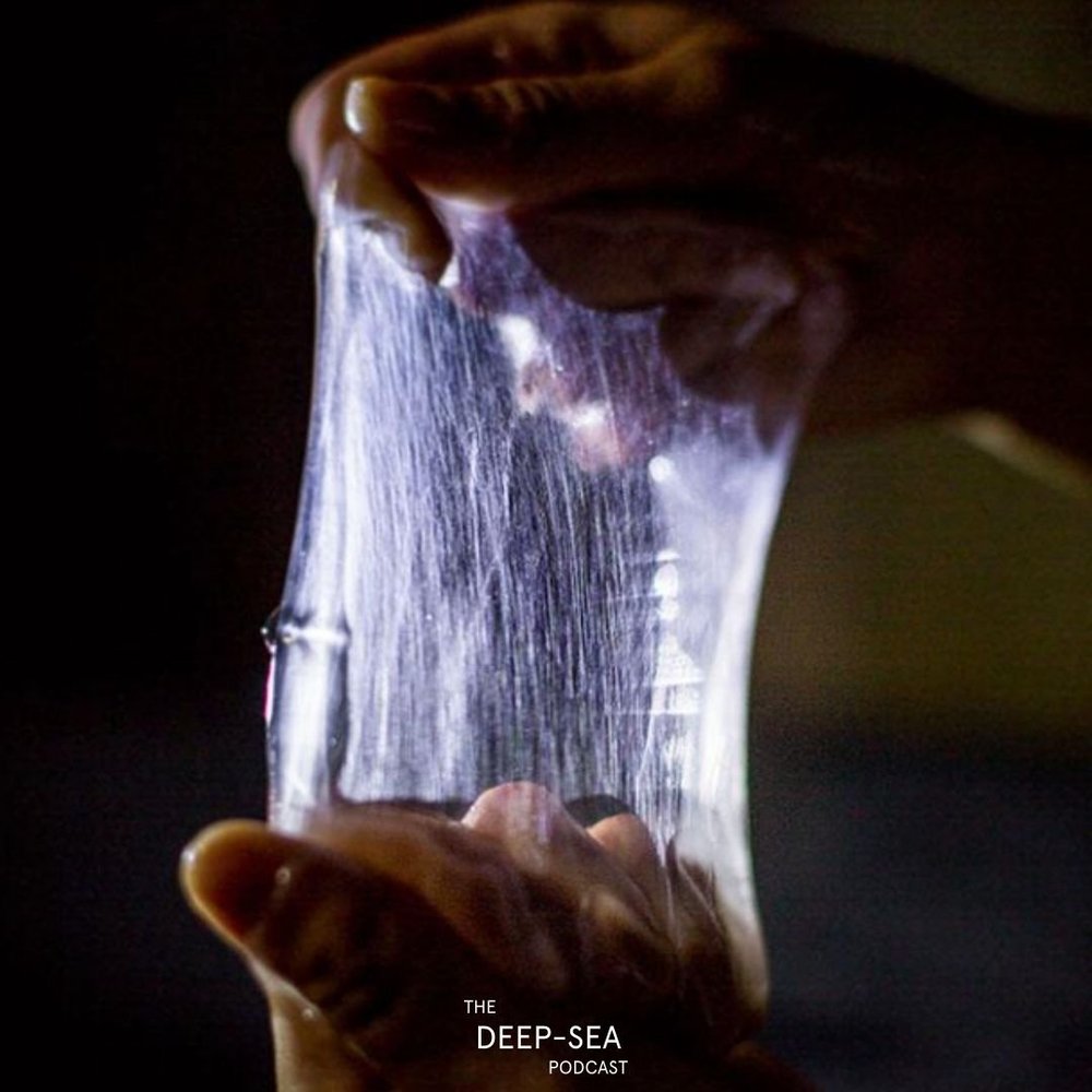 Highlighting the hagfish: misunderstood or monster from the deep ...