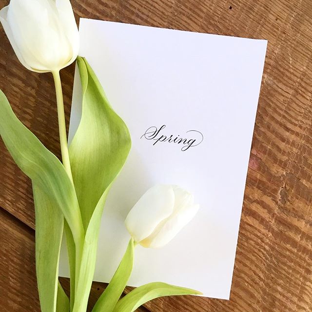 Calligraphy Portfolio — Jones Calligraphy