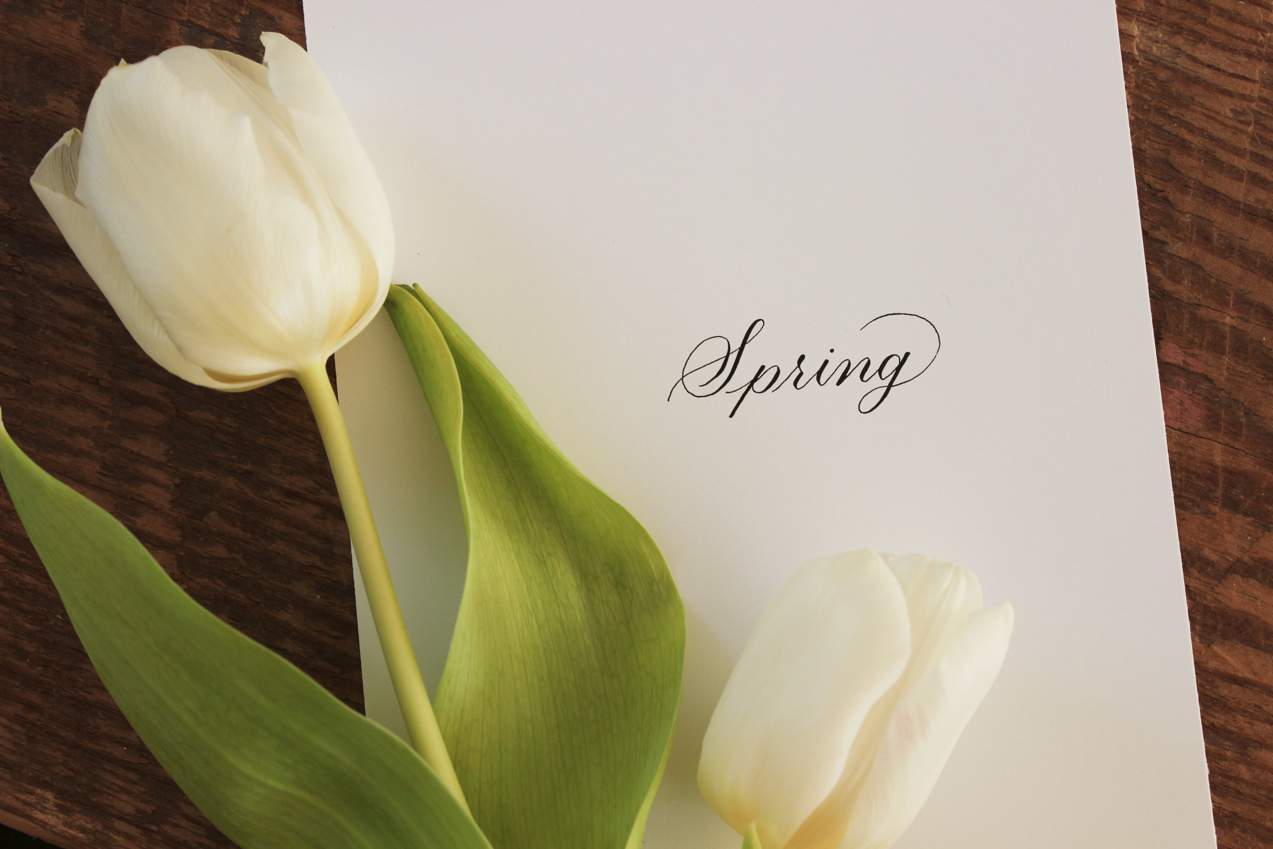 Calligraphy Portfolio — Jones Calligraphy