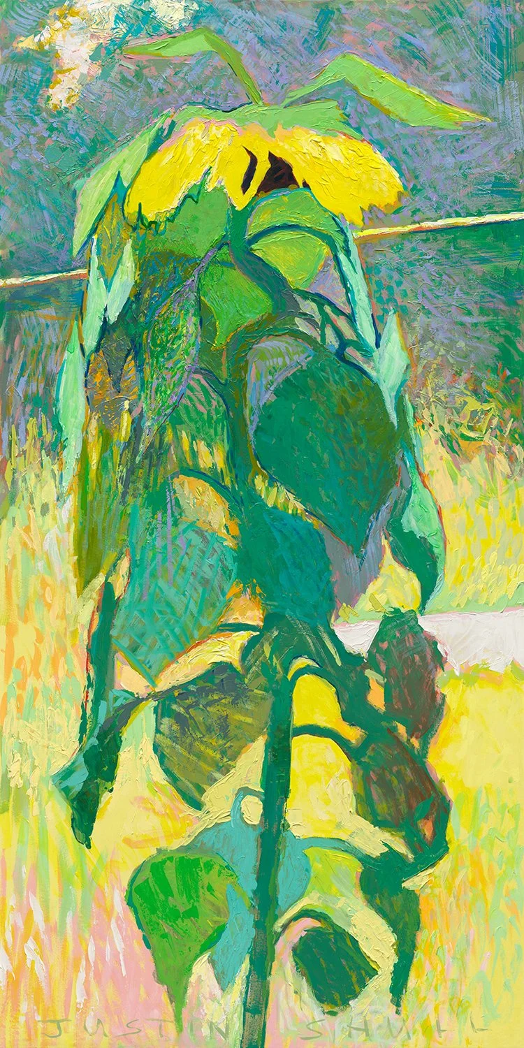 Summer's Weight — Justin Shull