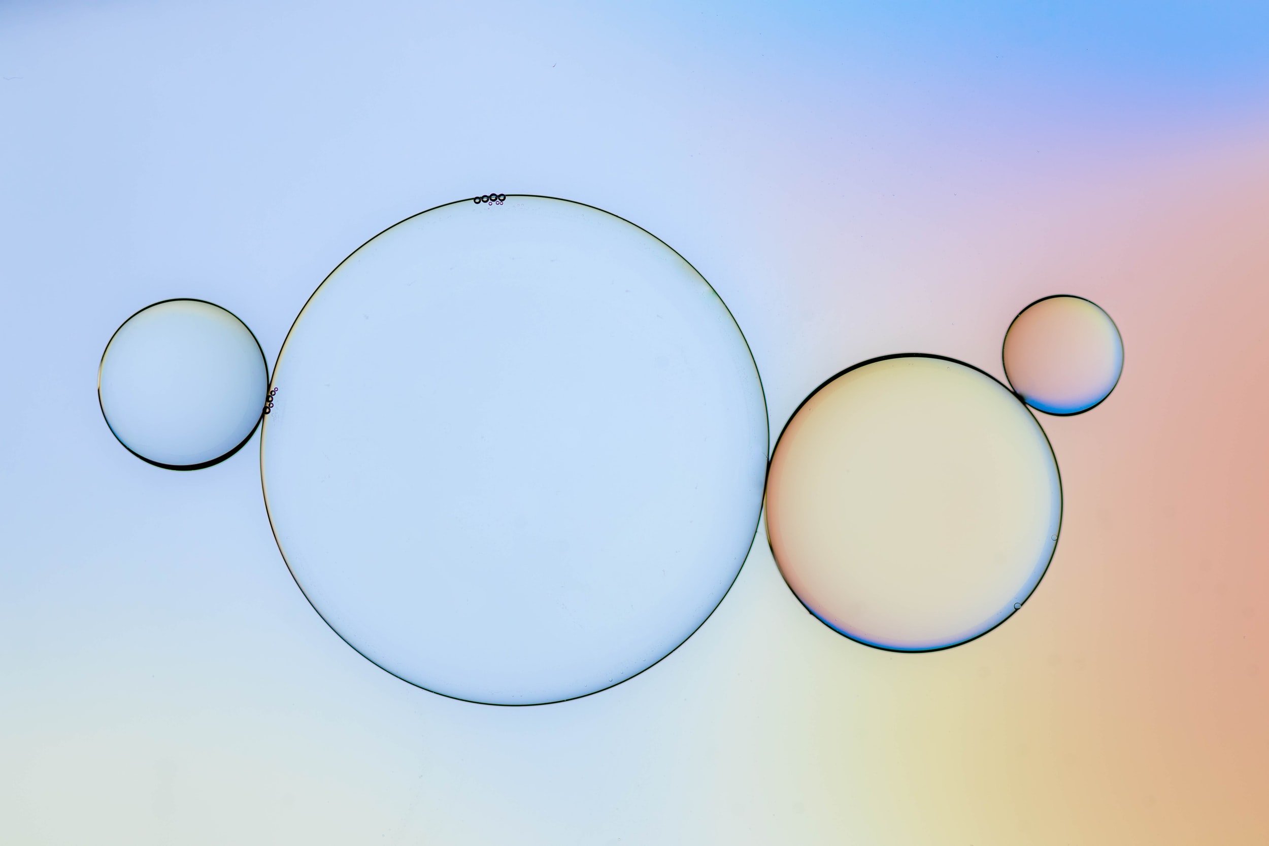 Independent Optical Lab