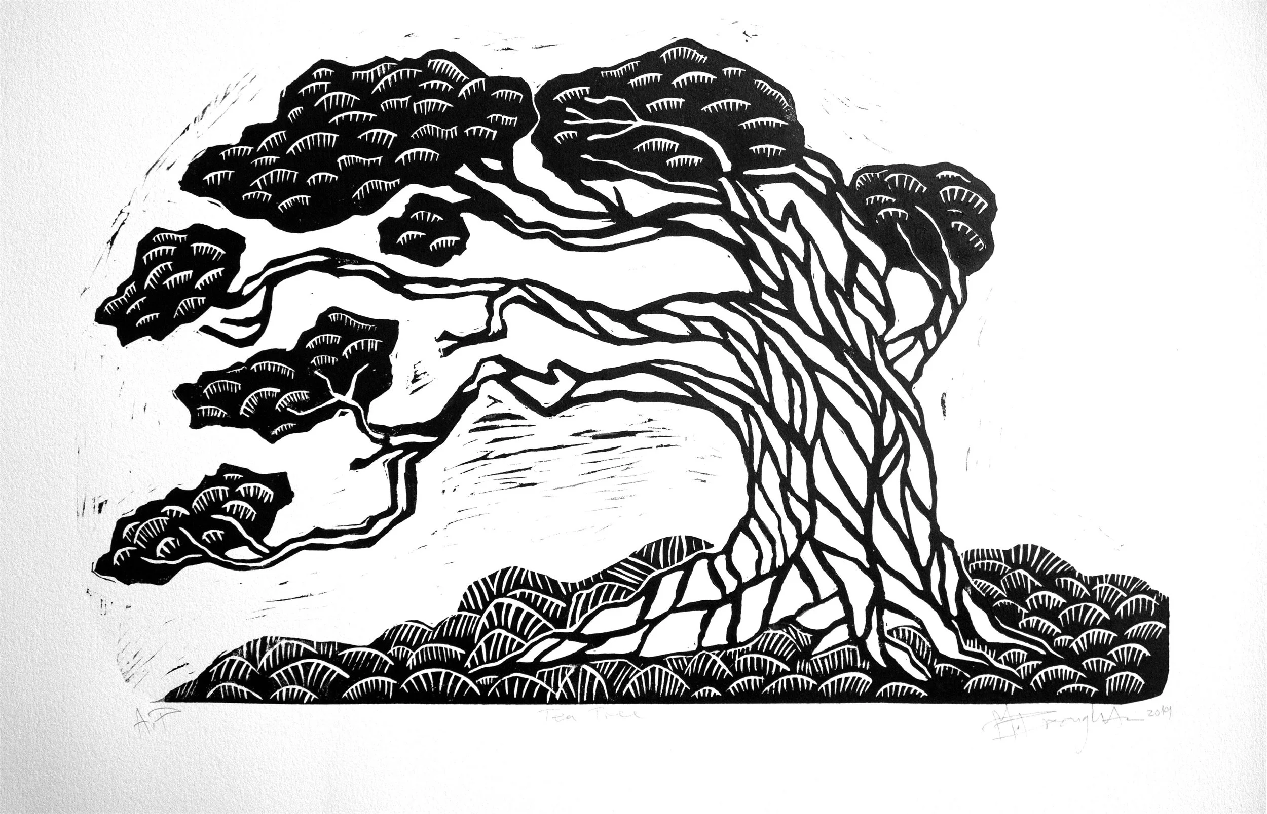 Shop Australian Linocut and Fine Art Prints - Matt Broughton