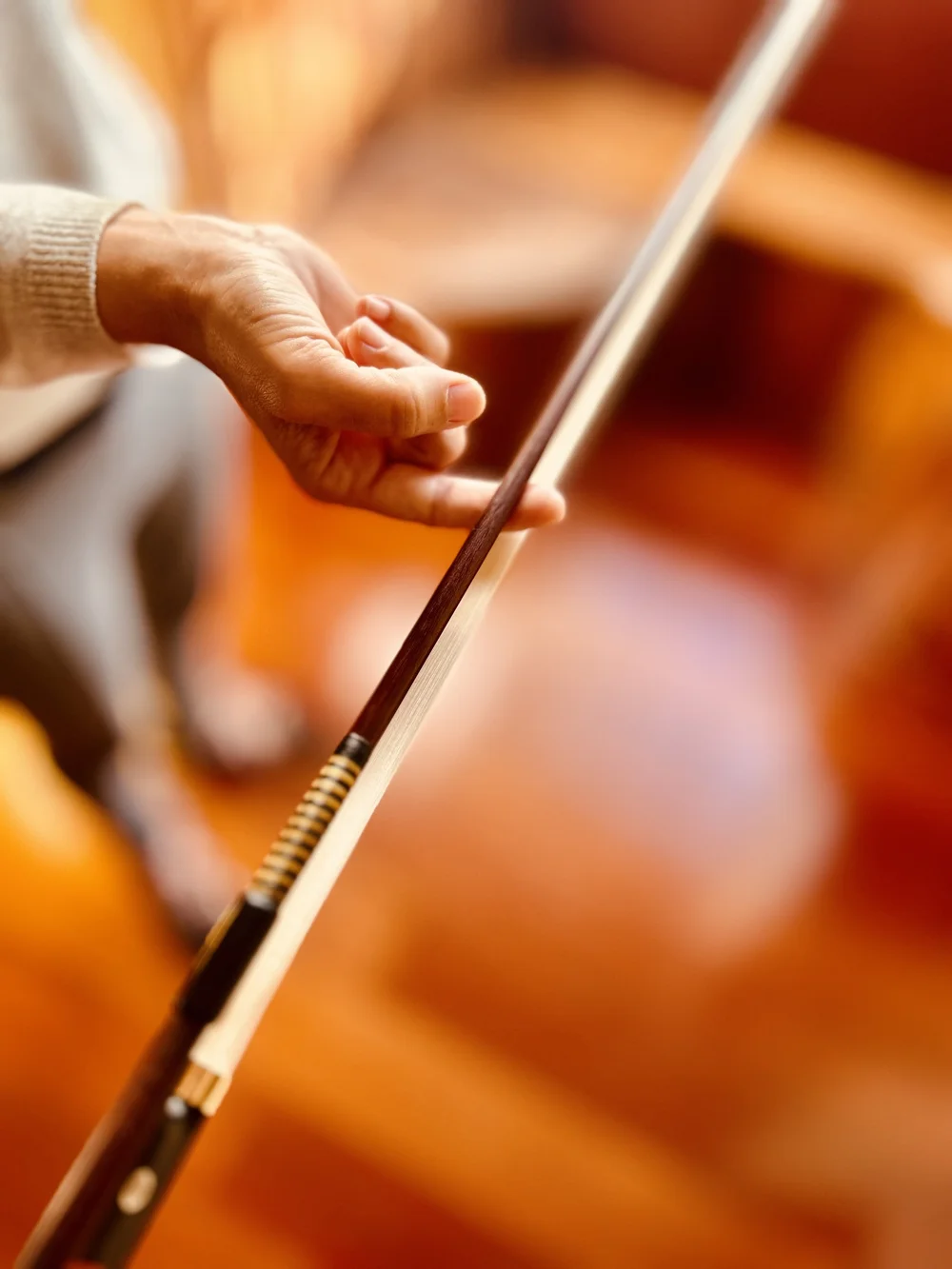 Choosing the right bow — Maite Iglesias