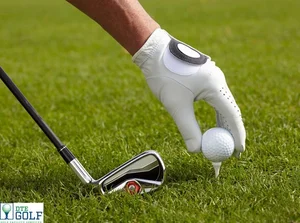 How Daily Maintenance Keeps Your Golf Course Thriving