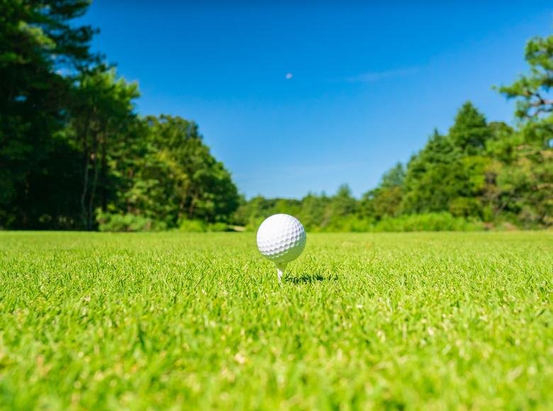 Optimal Turf Grass Choices For Florida Golf Courses Dte Golf