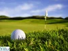 Environmental Benefits of Recycling Grass Clippings on Golf Courses