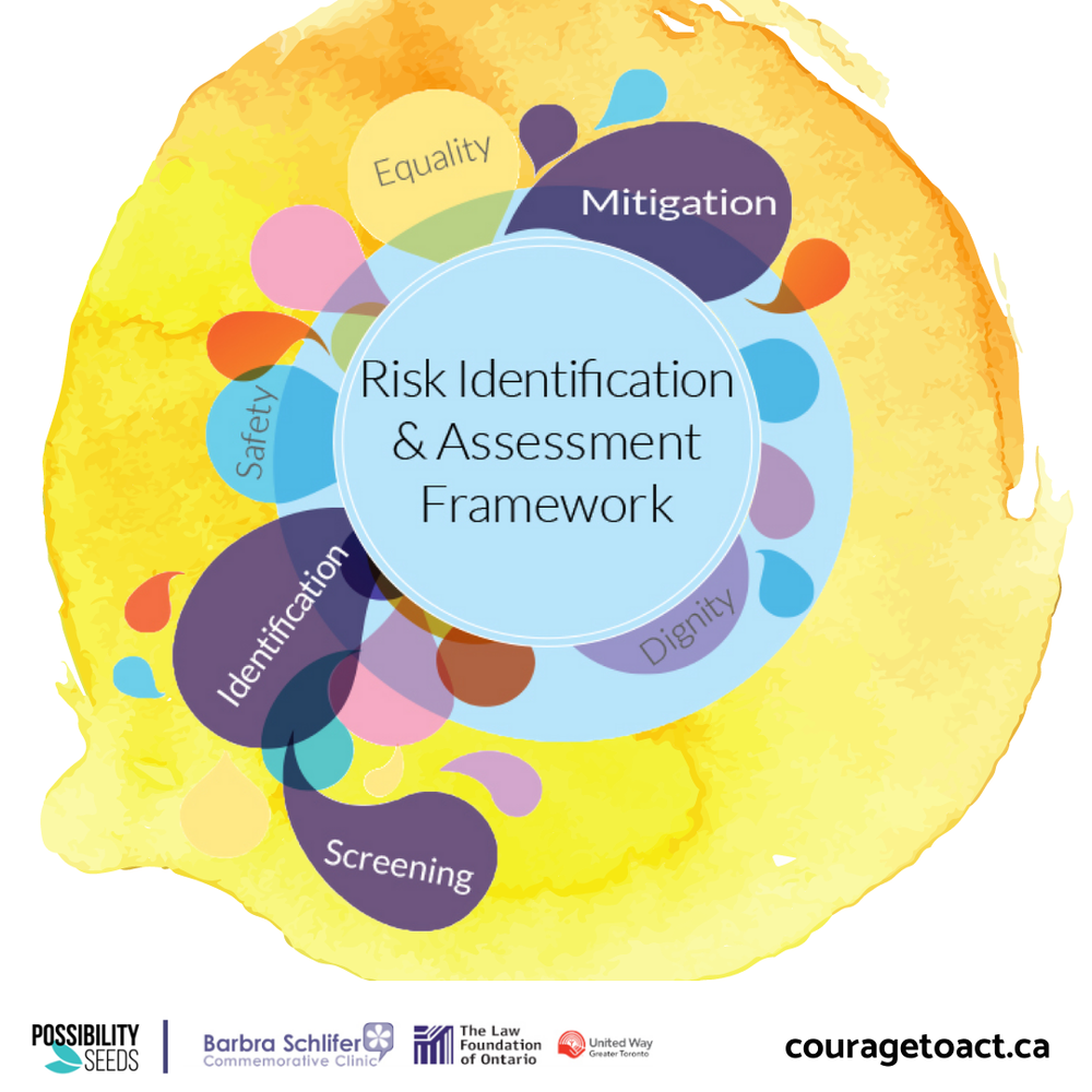 Risk Identification Assessment — Courage to Act Foundation