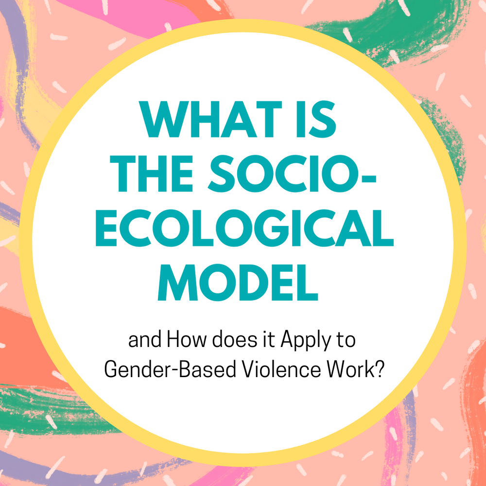 What is the Socio-Ecological Model and How does it Apply to Gender ...