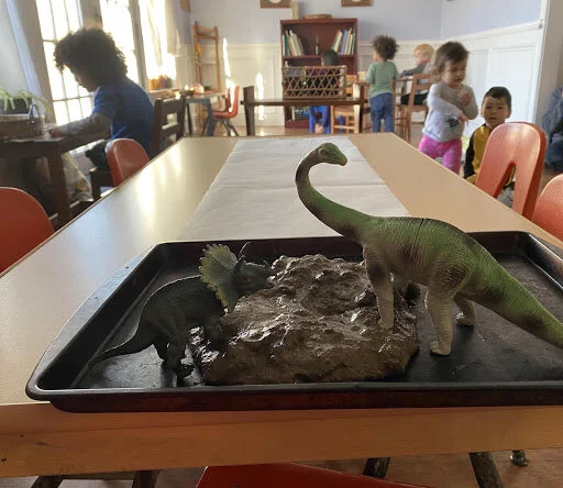 Wash Firefly Dinosaurs