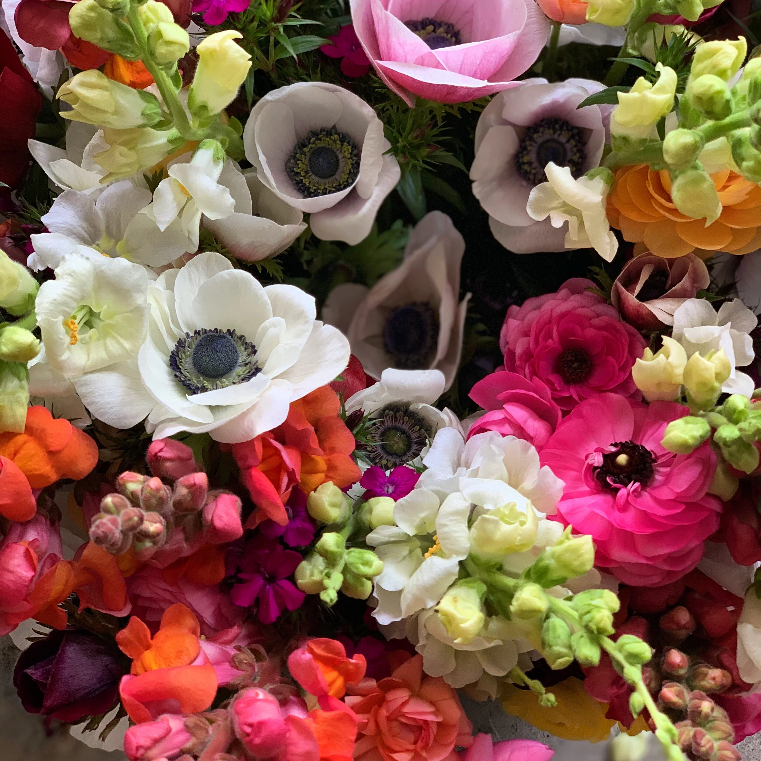 Shop — River Bend Blooms