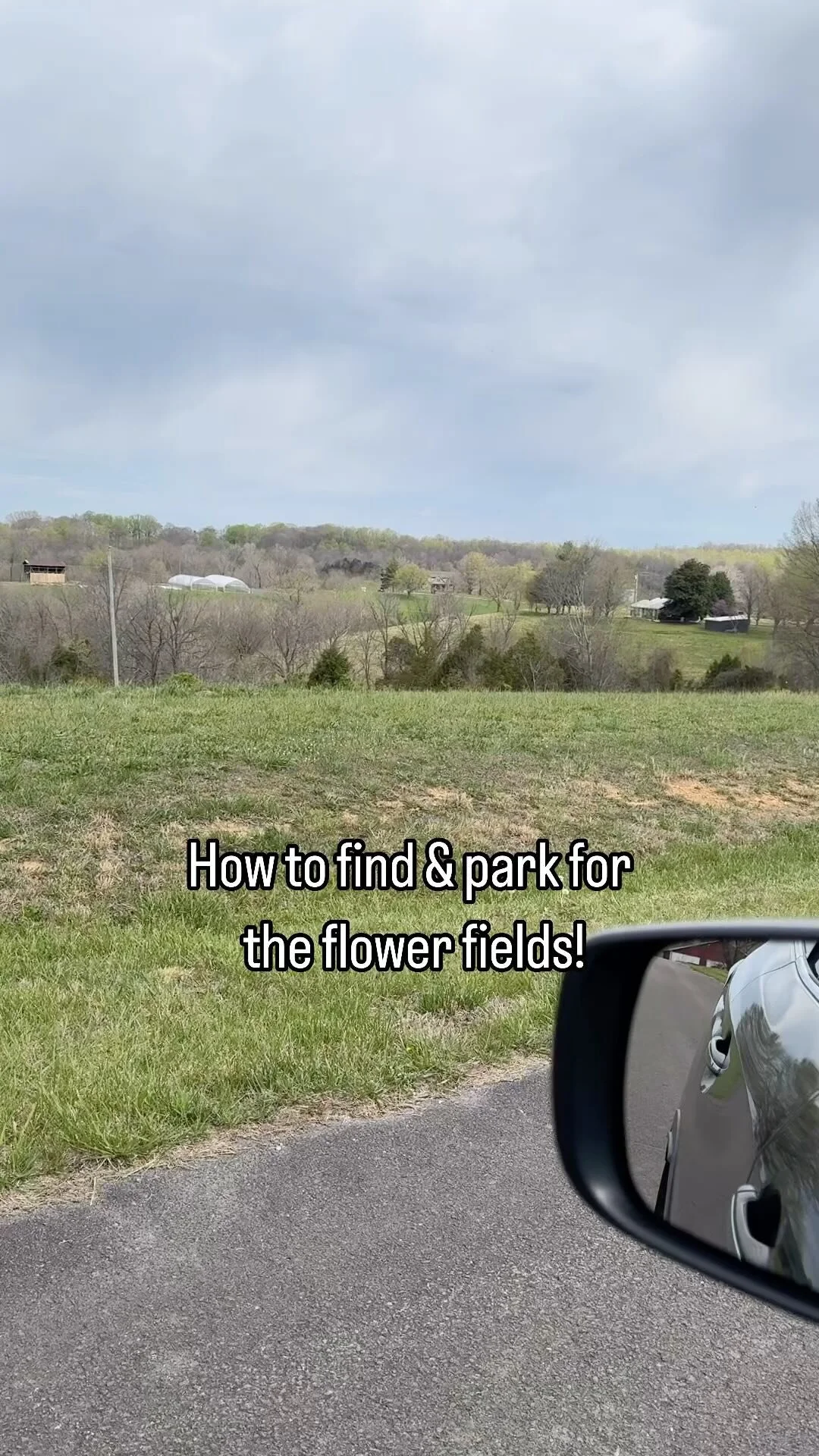 Visit The Flower Fields at River Bend Blooms — River Bend Blooms