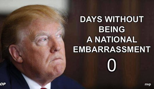 Celebrate! — Disqus Refugees