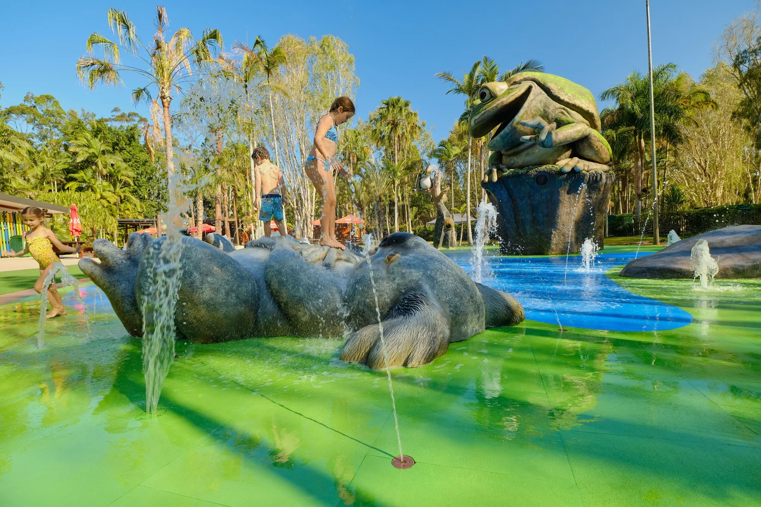 Australia Zoo — Life Floor Australia + New Zealand
