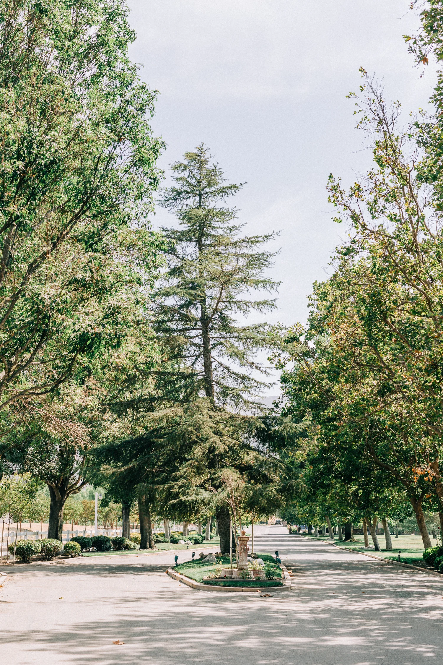 Epona Estate — SUMMIT EVENT CATERING