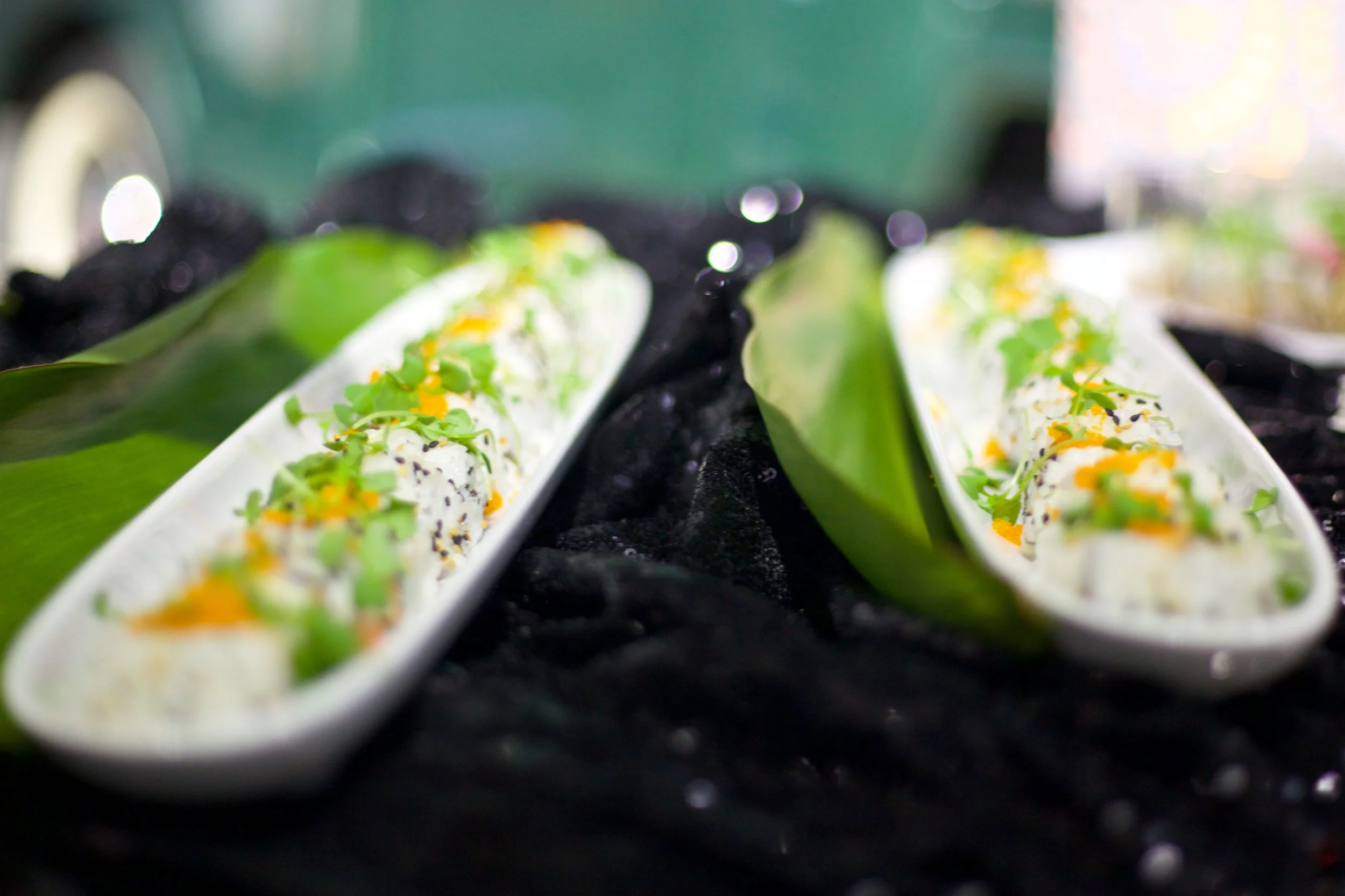 SOCIAL EVENT GALLERY — SUMMIT EVENT CATERING