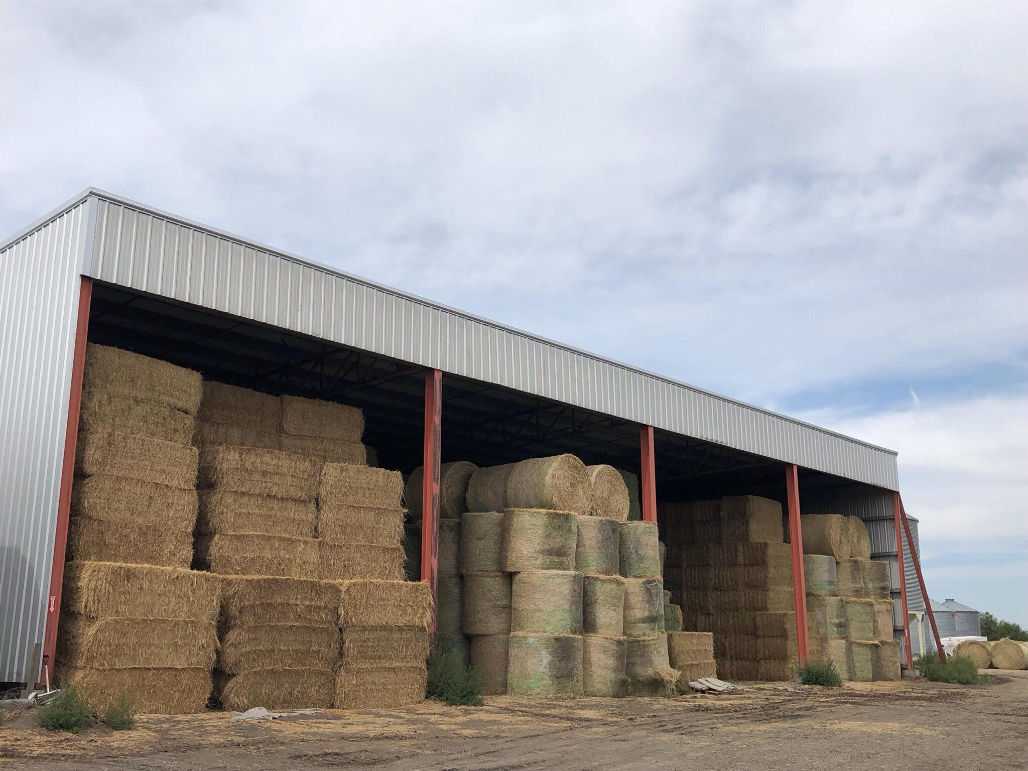 Hay Purchasing — Sun Cured Alfalfa Cubes