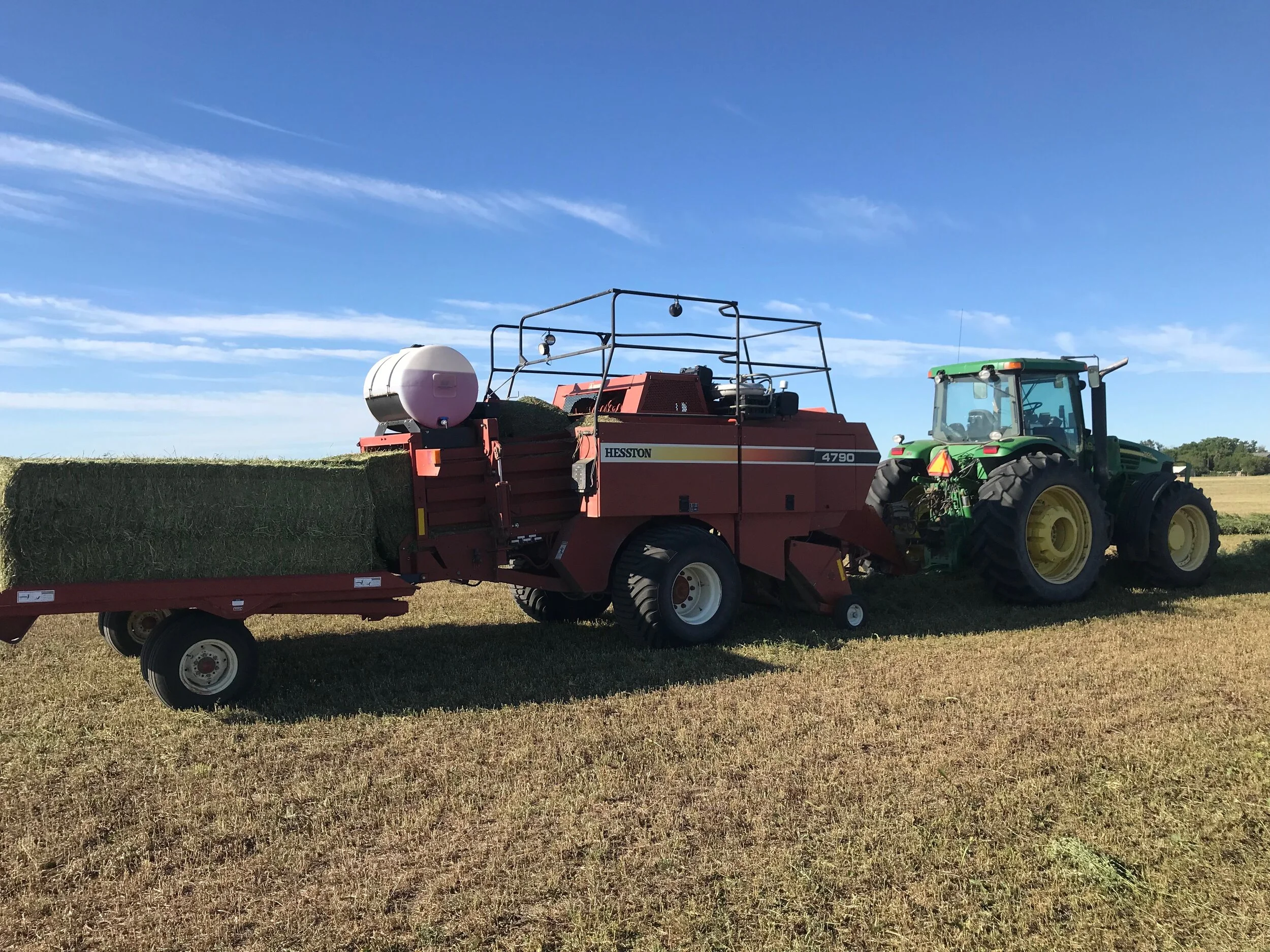 Gallery — Sun Cured Alfalfa Cubes