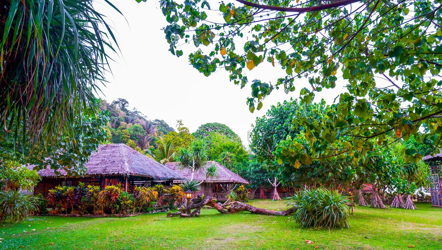 Aura Surf Resort