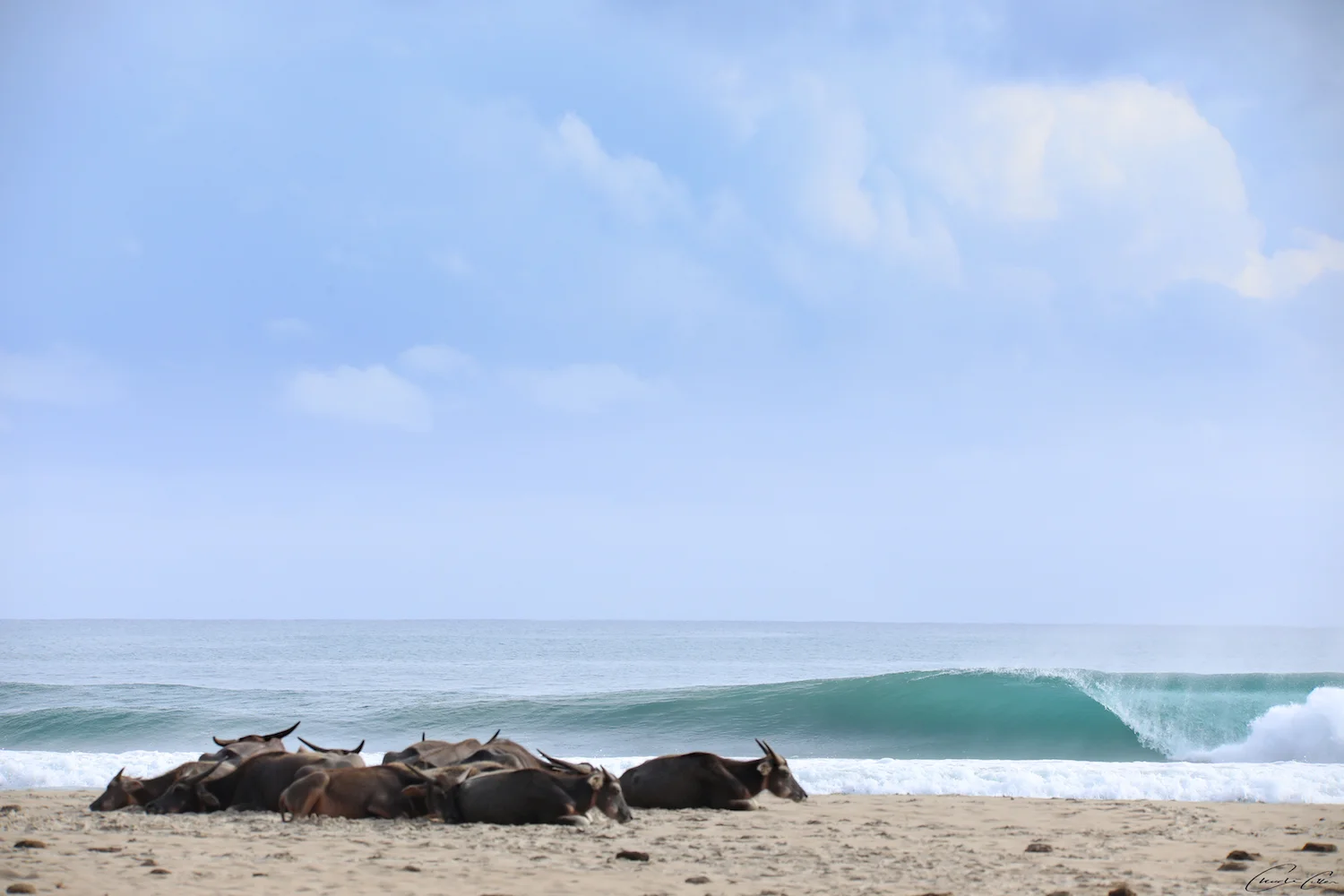 Sumatra Surf Resort & Island Trip, Indonesia | Surf Camps & Lodges