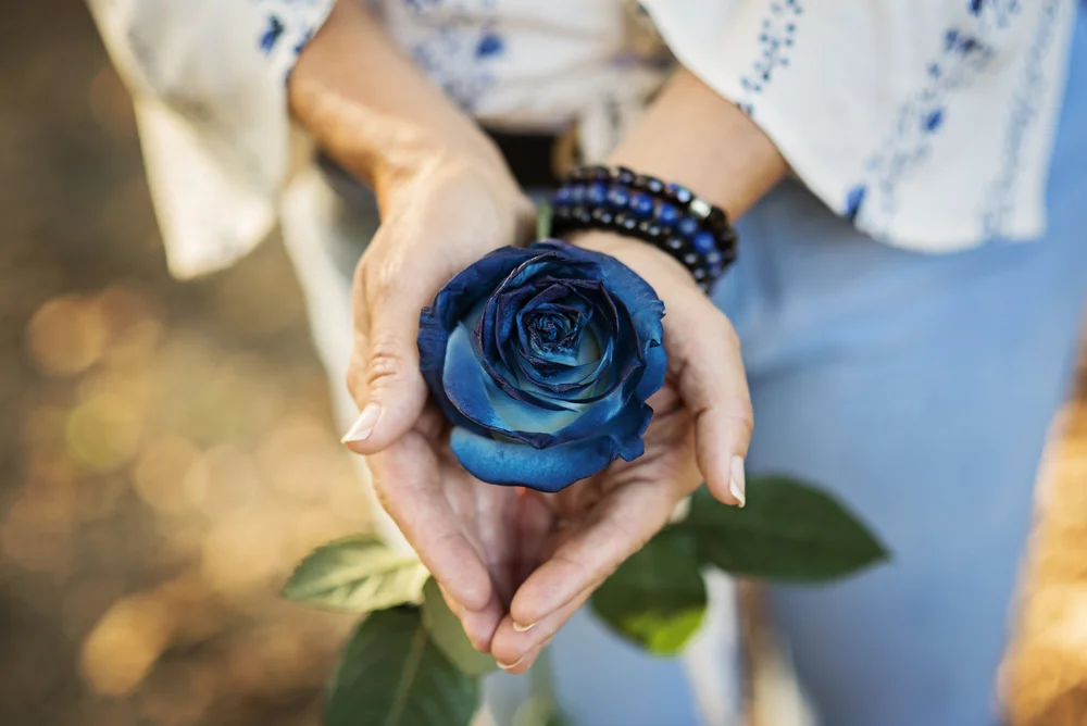 Blue Rose Healing