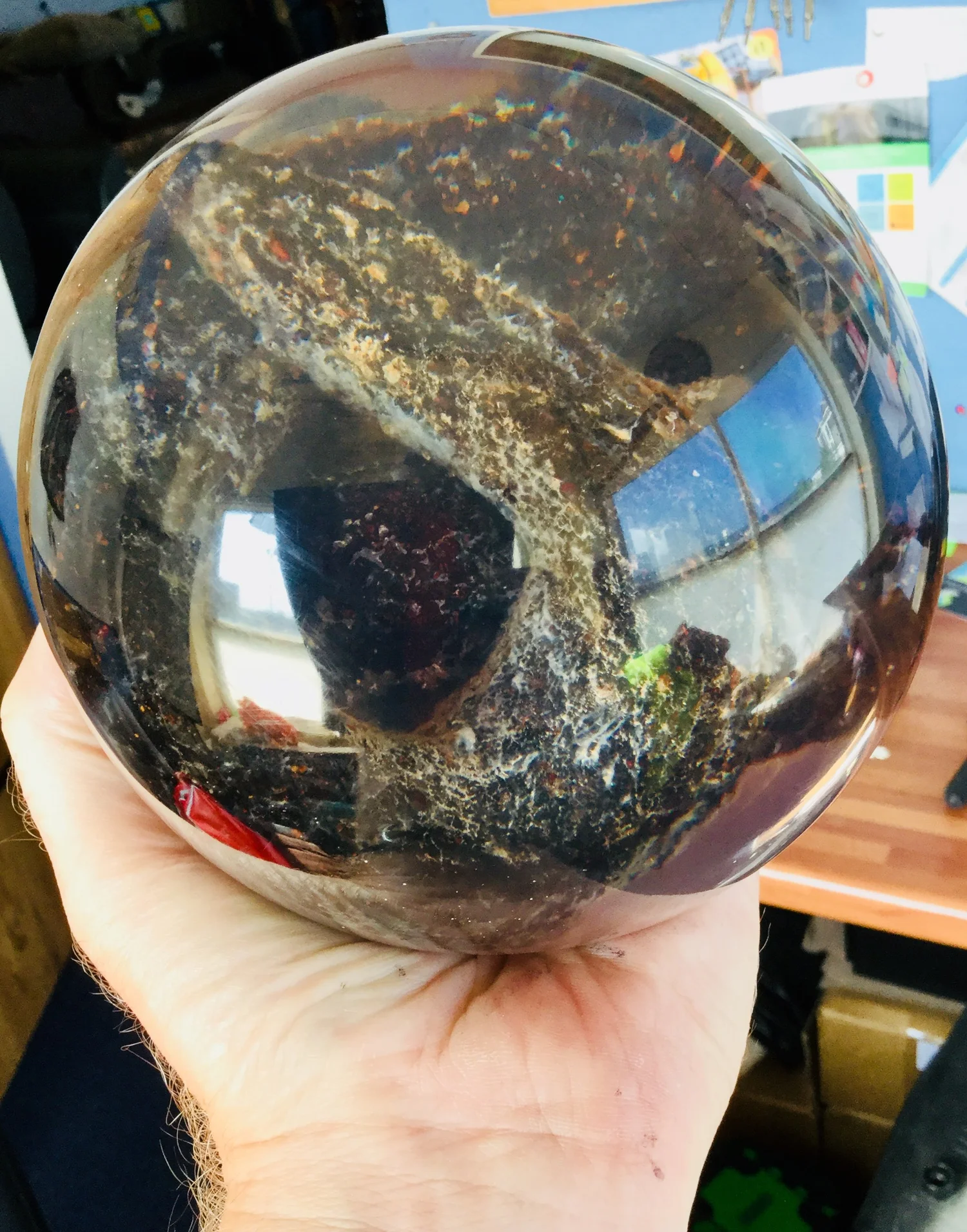 Our Museum — The National Poo Musuem