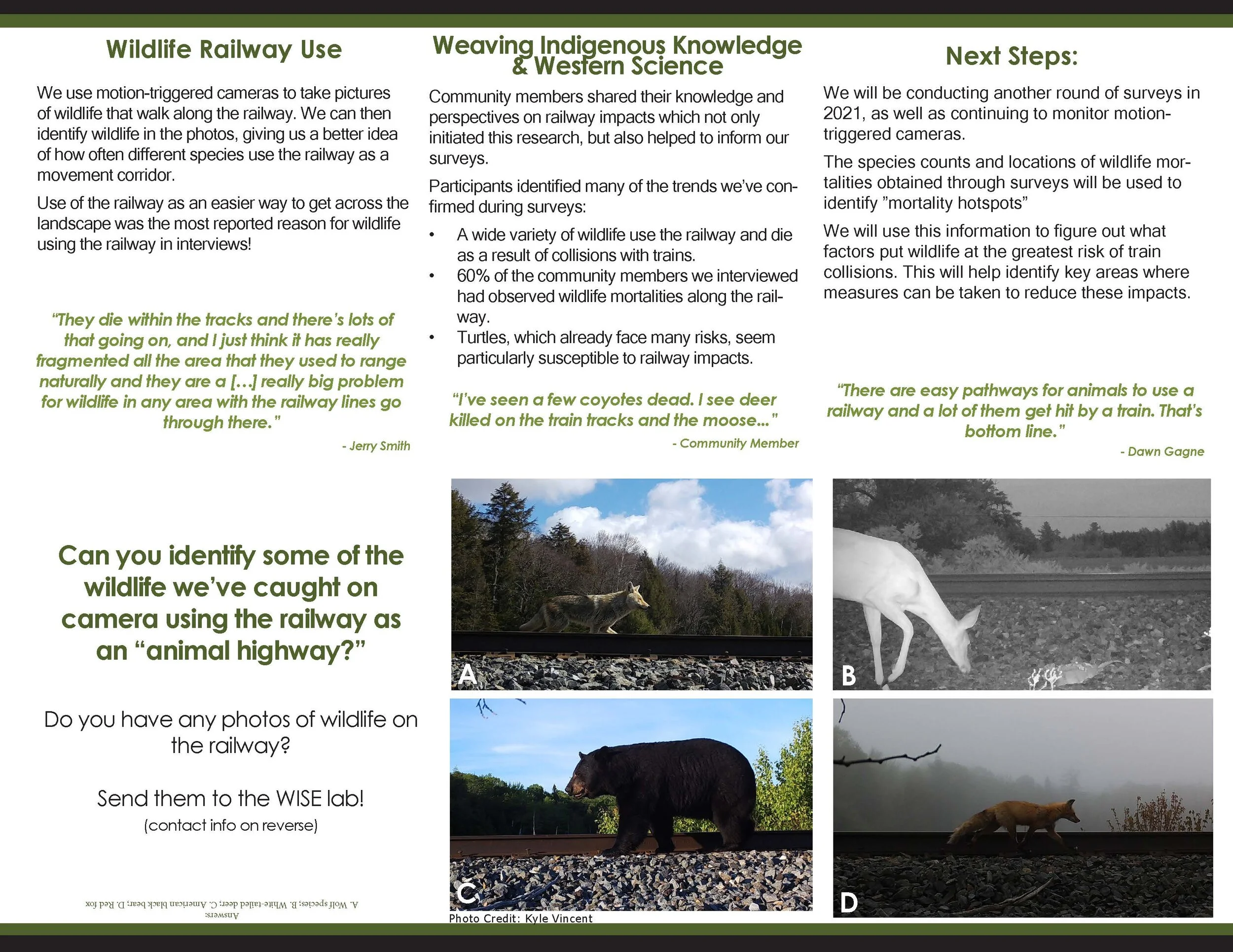 Railway ecology — WISE Lab