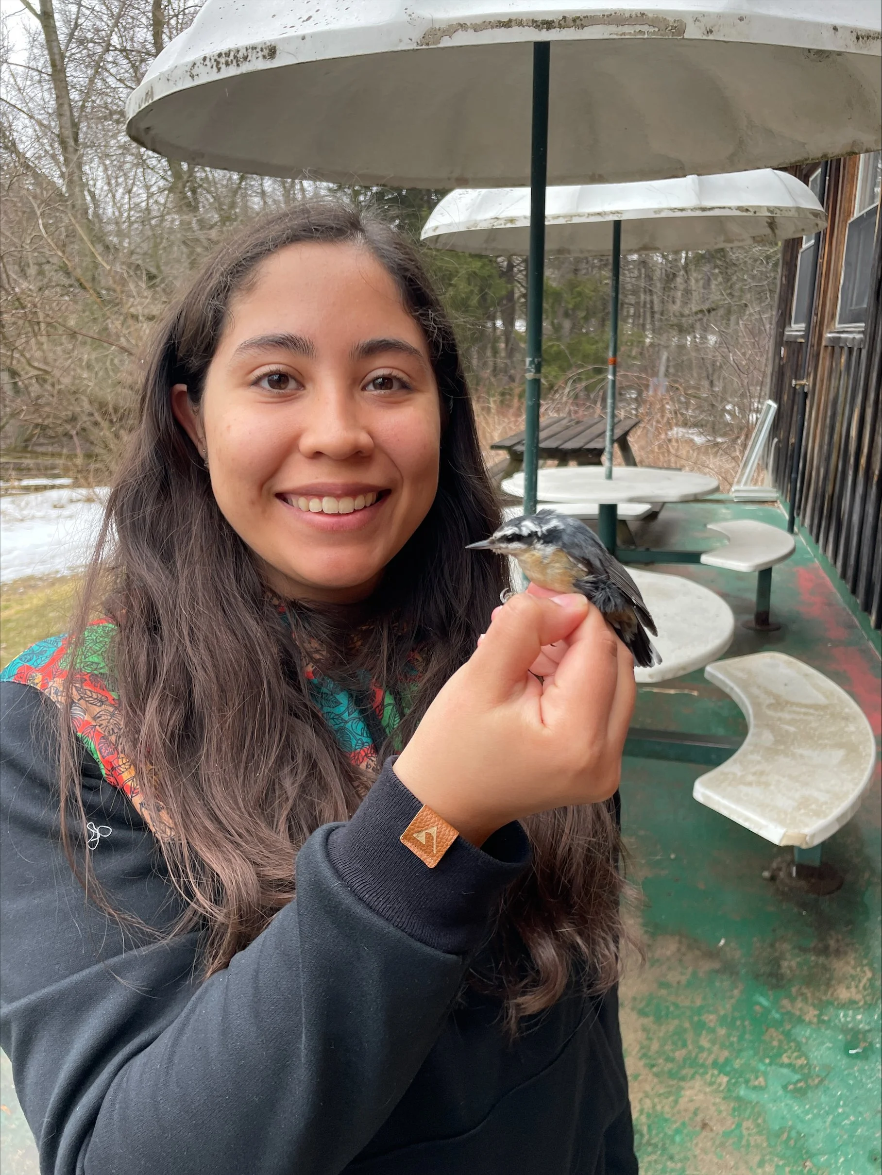 WISE Lab at MTA — WISE Lab