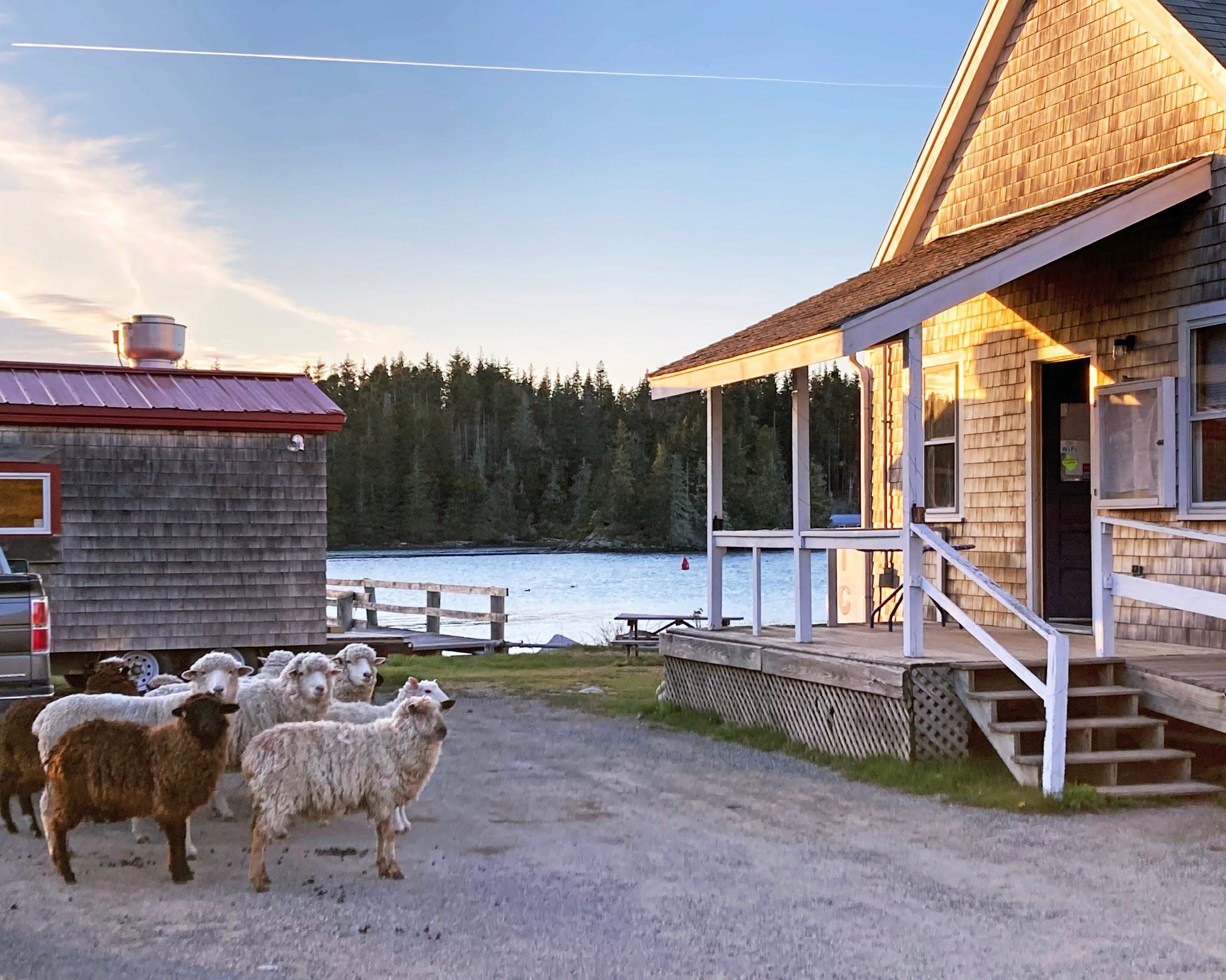 The Maine General Store Tour | What to Do in Maine | Green & Healthy ...