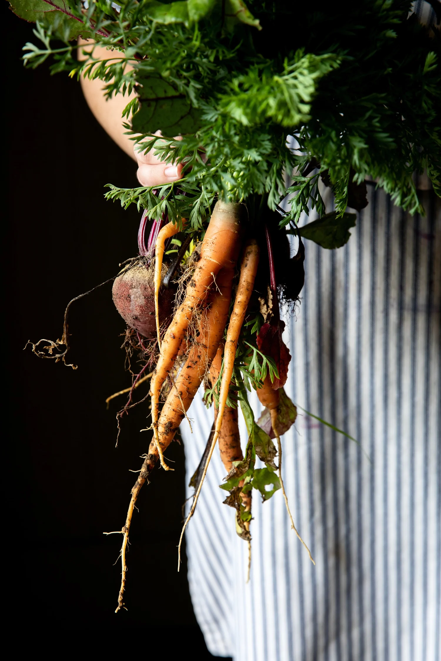 Cooking and baking classes in Maine for adults and kids | Green ...